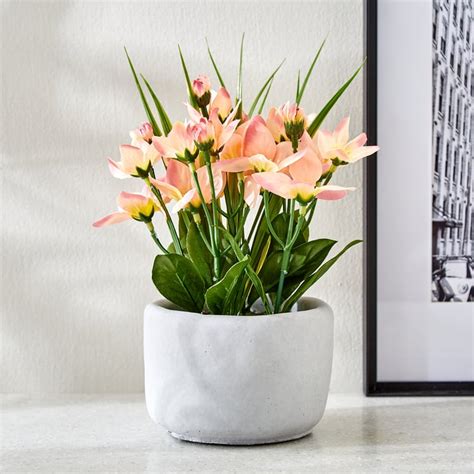 Buy Gloria Bud Artificial Platycodon Flowers In Cement Pot From Home