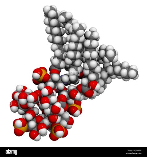 Lipopolysaccharide Lps Lipid A And Inner Core Fragment Endotoxin Molecule From E Coli 3d