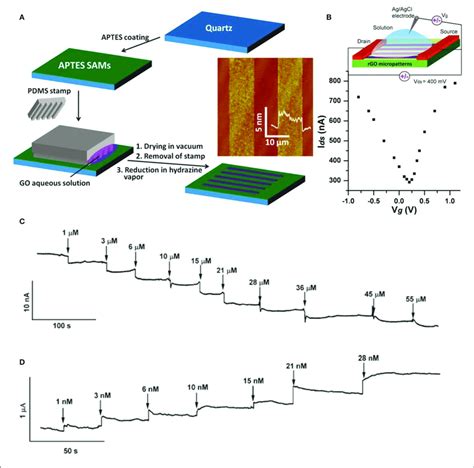 Graphene Based Fet Metal Ion Sensors A Fabrication Process Of Rgo