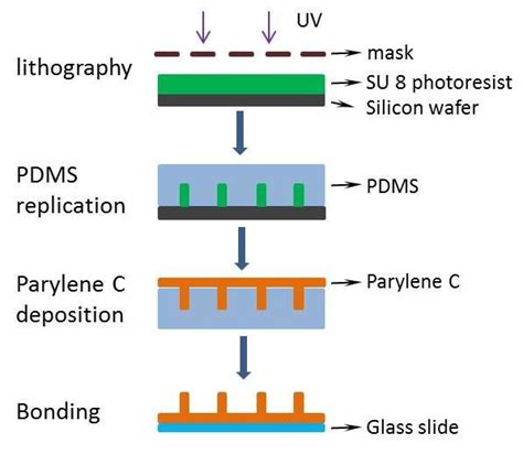 Fig A 1 A Schematic Fabrication Flowchart Of Parylene C Patterns Download Scientific Diagram