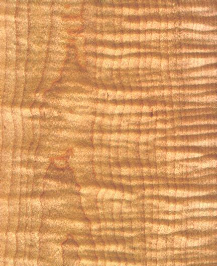 Curly Maple Wood Grain