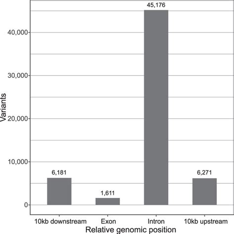 The Number Of Single Nucleotide Variants In And Around Known Genes