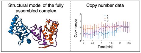 Integrative Spatiotemporal Modeling In Imp Modeling Of Heterogeneity