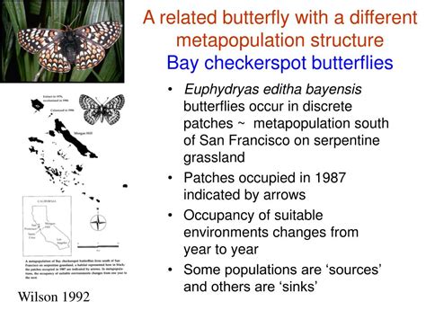Ppt Spatial Ecology Metapopulations Powerpoint Presentation Free