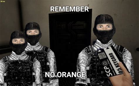 Playing Facility Guard Be Like R Scpsecretlab