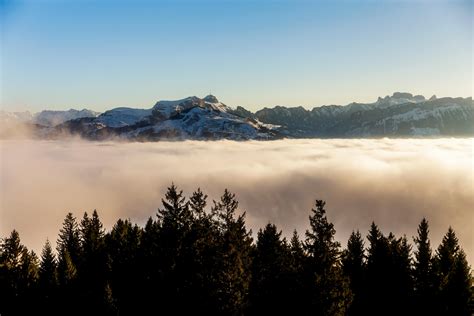 Gáithủdâmlồnmúp Photos Download The Best Free Gáithủdâmlồnmúp