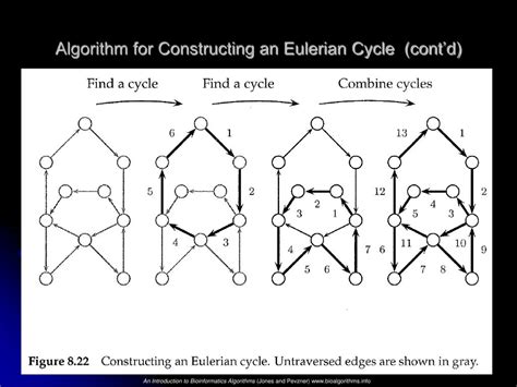 Ppt Graph Algorithms In Bioinformatics Powerpoint Presentation Free