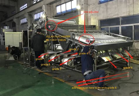 Kg Shrimp Sorting Production Line Shrimp Grading Selection Machine Shrimp Washing Grading
