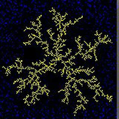 Physical Simulation With Cellular Automata