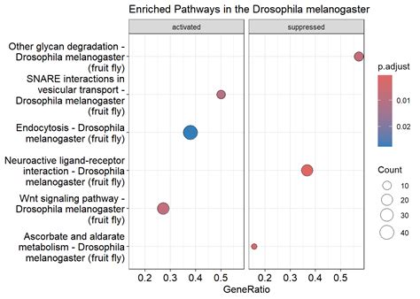 2 Pathway Analysis Using The Clusterprofiler Package In R Portfolio
