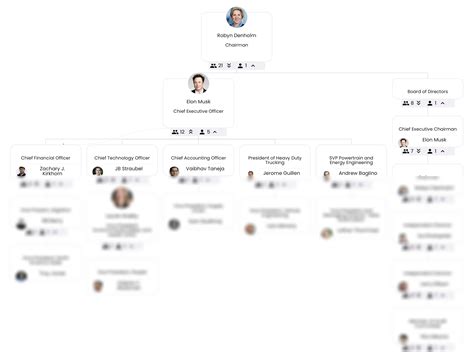 SOLUTION Tesla Organizational Chart Studypool
