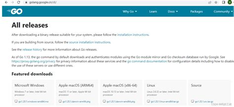 (1 2)go语言基础:安装gogo 安装 Csdn博客 (1 2)go语言基础:安装gogo 安装 Csdn博客