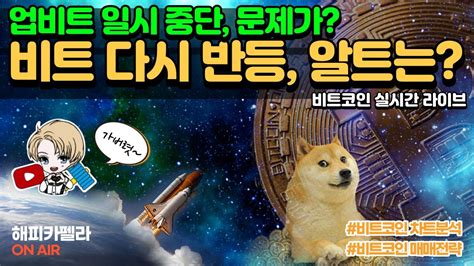 비트코인 실시간 비트 반등 알트는 업비트 일시 중단사건 다시 재개 4월 3일 저녁💎 Youtube