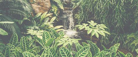 Incredible CSS Tricks To Transform Your Web Layouts