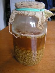 Квас Болотова на чистотеле, банановых корках, царская водка