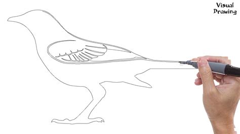 Mockingbird Easy Drawing At Nicholas Bruny Blog