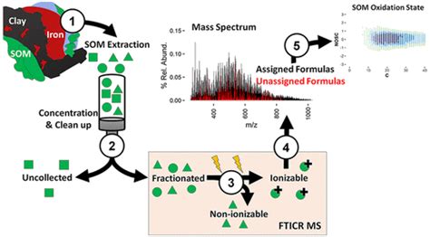 通过傅里叶变换离子回旋共振质谱 Fticr Ms 表征土壤有机物：样品制备、分析和数据解释的批判性审查 Environmental Science And Technology X Mol