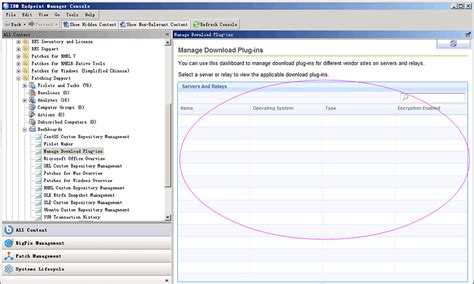 Patching Support Manage Download Plug Ins Have No Data Patch Bigfix