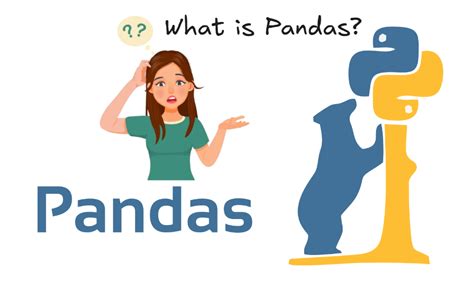 Pandas You Mean The Python Library Not The Bear By Tomas