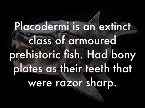 Fish By Briana Nelson