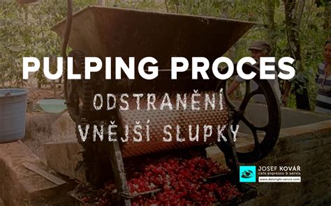 Pulping Proces Co Je Pulping A Jak Funguje