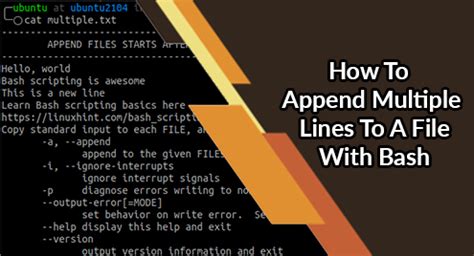 Multiple Ways To Redirect Echo Output To A File In Bash