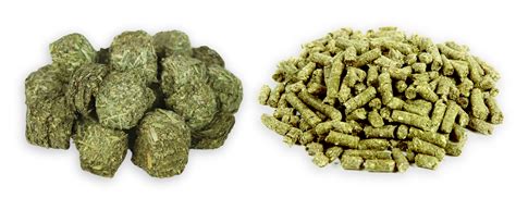 Hay Cubes And Pellets