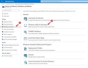 Step By Step Guide Enable Windows Password Less Authentication With FIDO Security Keys