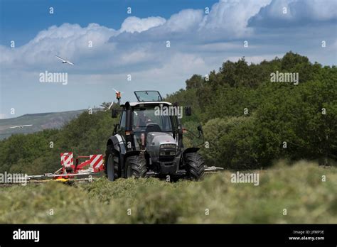 Rowing Up Grass For Silage Using A Pottinger Rake Pulled By A Hurlimann