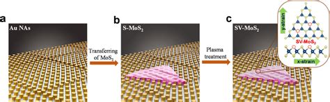 Schematic Representation Of A Gold Nanopillar Arrays On A Si Sio2 Download Scientific Diagram