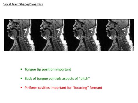 Researchers Solve Mystery Of Tuvan Throat Singing News York