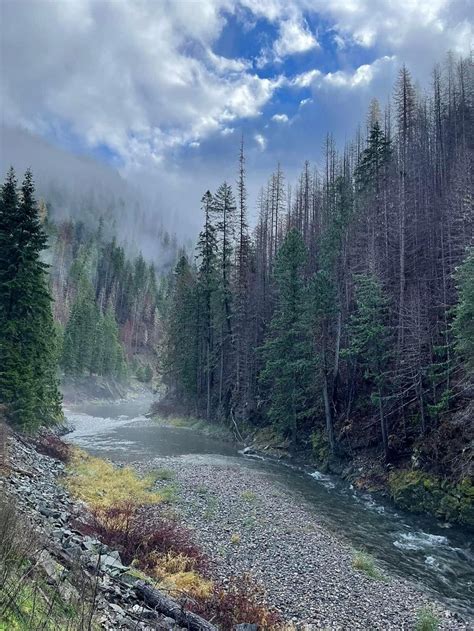 St Joe Valley Resort Campground Reviews Saint Maries Idaho