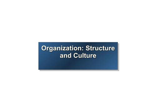 chap 3 organization structure ppt