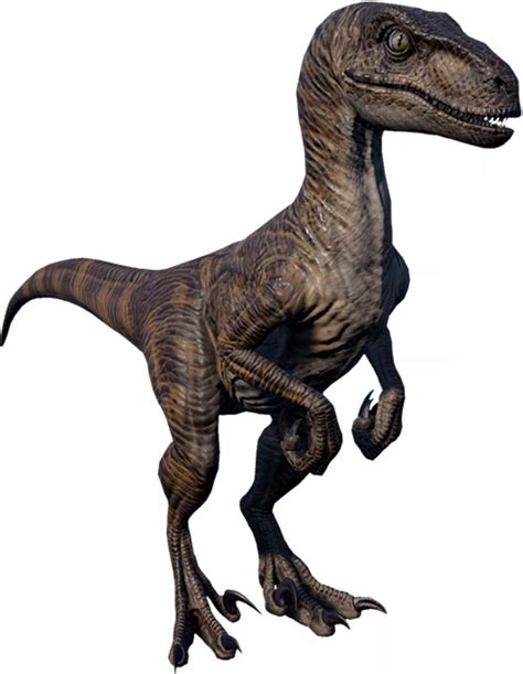 Velociraptor Jurassic World Evolution Wiki Fandom