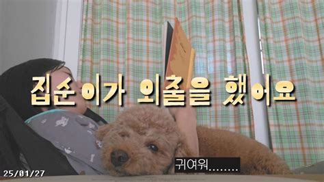 이번주는 즐거운 외출 브이로그 Youtube