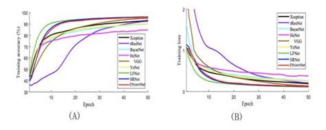 A Training Accuracy And Training Loss B Tendencies For Each Network