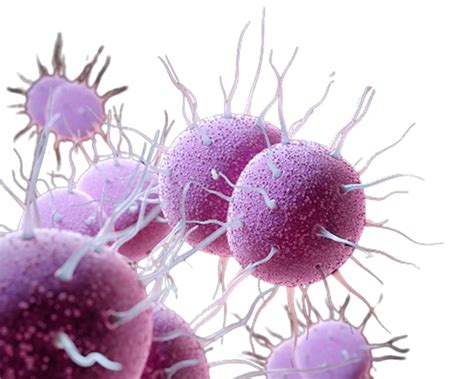 Kenali Penyakit Seks Menular Waspada Radarbanten Co Id