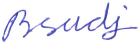 figure 2 from handwritten signature verification using siamese neural