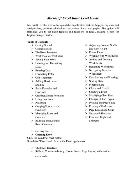 Solution Microsoft Excel Basic Level Guide Studypool