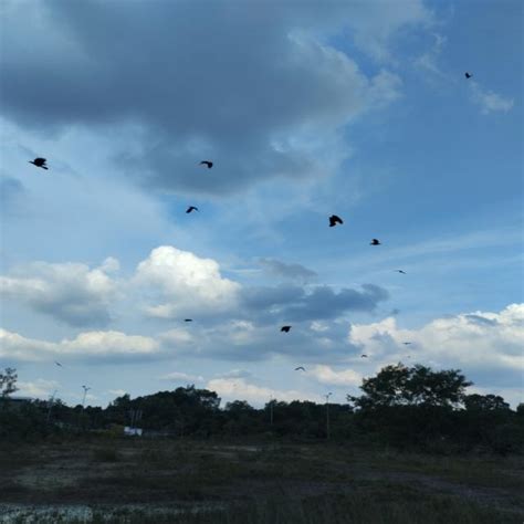 project project vpype roboflow universe