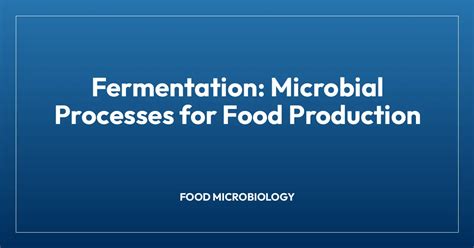 Fermentation Microbial Processes For Food Production • Food Safety Institute
