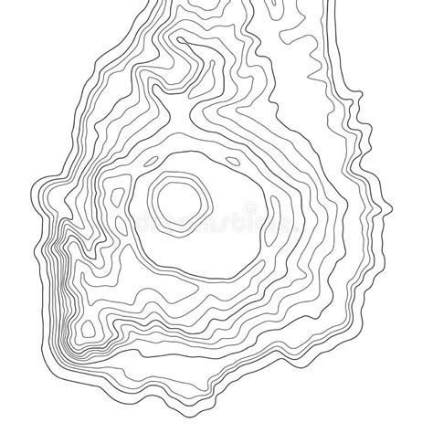 Contour Topographic Map Geographic Grid Map Background Vector
