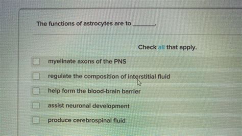 Solved The Functions Of Astrocytes Are To Check All That