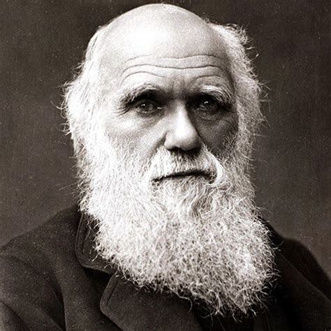 Charles Darwin Theory Book And Quotes