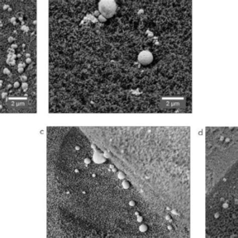 Semipositive Definite Matrix For Quadratic Term Has A Convex Quadratic
