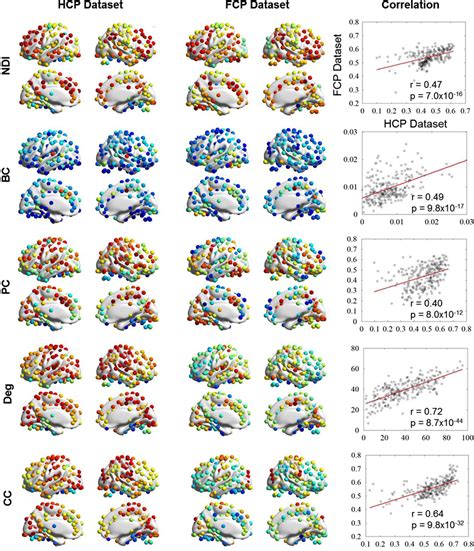 Robustness Brain Map Of Each Graph Metric For Different Resting‐state