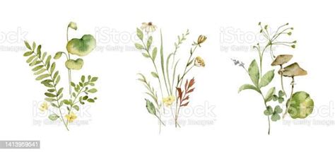 흰색 배경에 고립 된 녹색 숲 단풍이있는 꽃다발의 수채화 벡터 세트 초대장 결혼식 카드 배너 웹을위한 꽃꽂이 0명에 대한 스톡