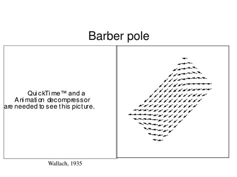 Ppt Nonlinear Visual Coding From An Intrinsic Geometry Perspective Powerpoint Presentation