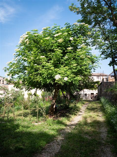 On The Road Lenola These Lenola Photographs Are Meant To … Flickr