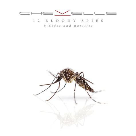 Chevelle Diez Años Enrojecidos Portalternativo